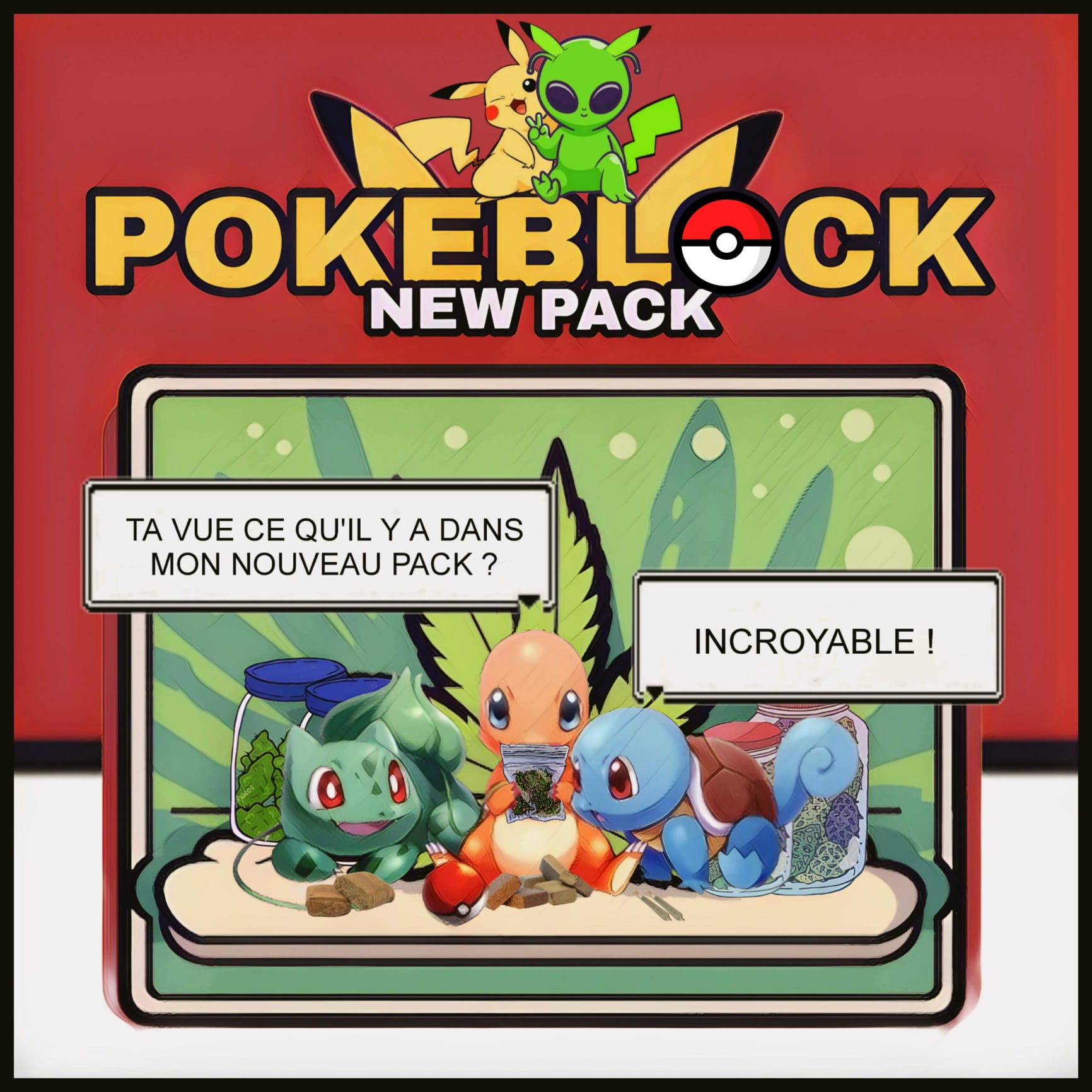 PACK POKEBLOCK 100G RESINE 100EURO !!!!! 10 résines différentes CBD ...